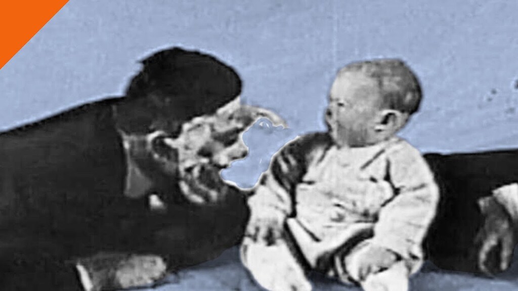 Evil Science: The Little Albert Experiment Explained - pete-judo - Art ...