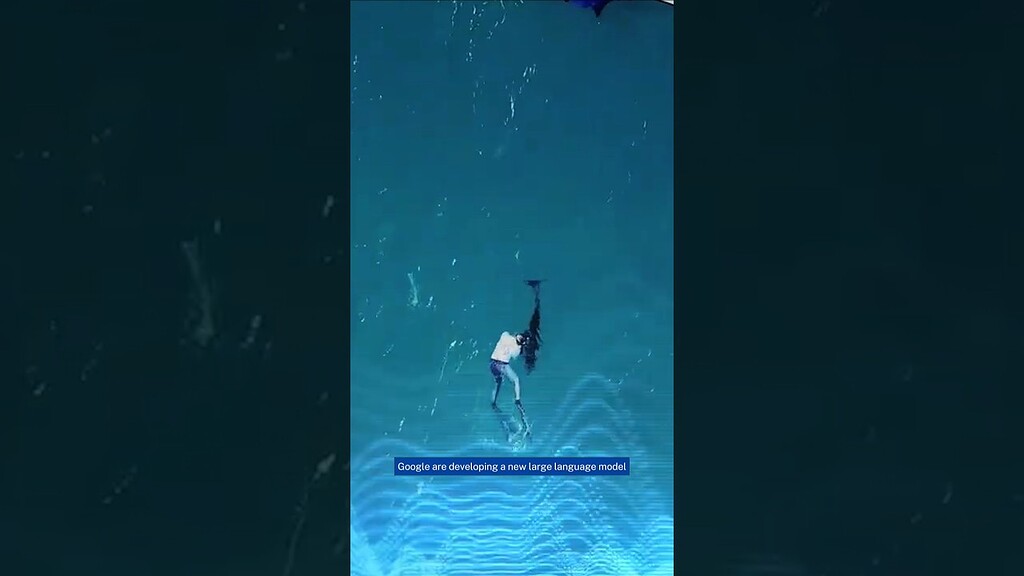 This AI Speaks Dolphin! - google - Art of Smart