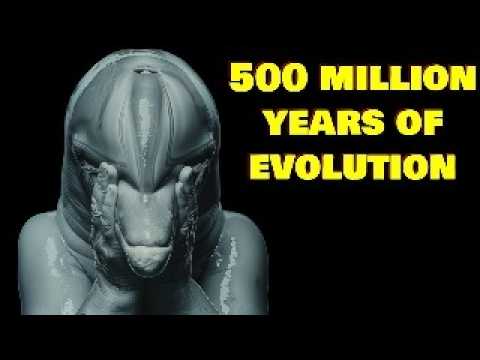 AI Model Simulates 500 Million Years of Evolution to create new ...